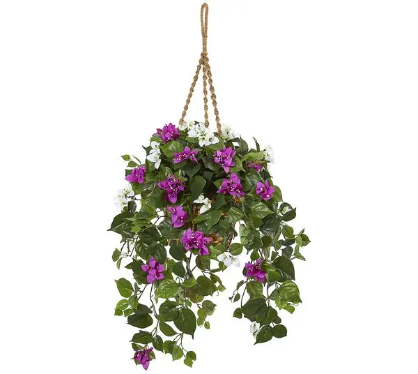 NEARLY NATURAL Mixed Bougainvillea Plant Hanging Basket Nea Rly Natural - One-color