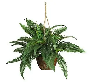 NEARLY NATURAL Boston Fern Silk Hanging Basket By - One-color