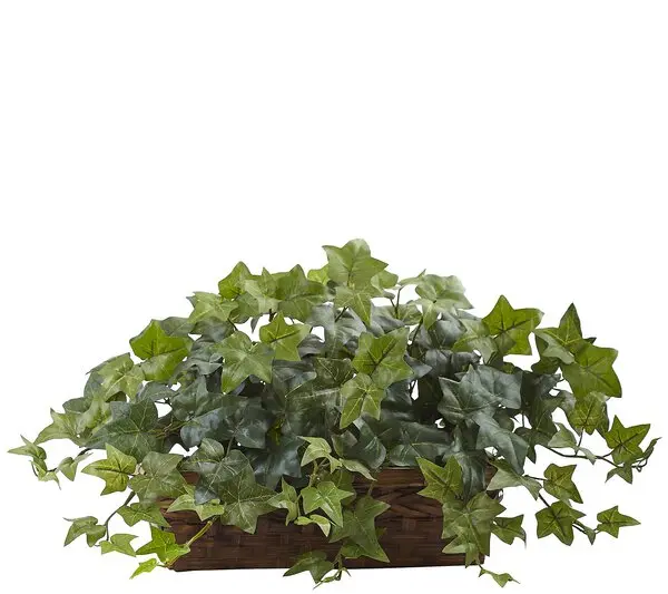 NEARLY NATURAL Puff Ivy With Ledge Basket By - One-color