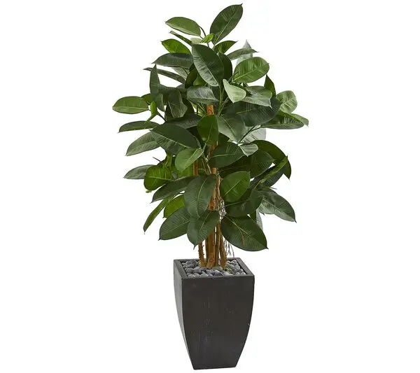 NEARLY NATURAL 56' Rubber Tree In Black Planter Nearly Natu Ral - One-color