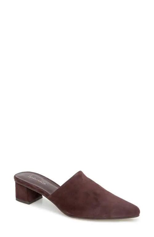 Splendid Lorelei Mule - Black Cherry