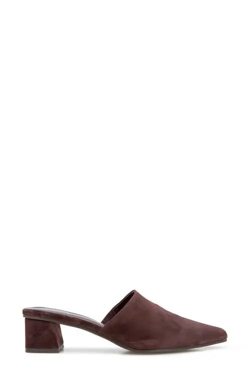 Splendid Lorelei Mule - Black Cherry