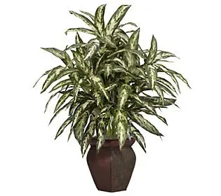 NEARLY NATURAL Aglaonema With Decorative Vase Plant Nearlyn Atural - One-color