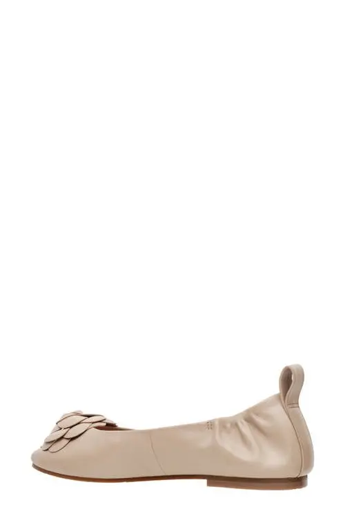 Linea Paolo Nina Ballet Flat