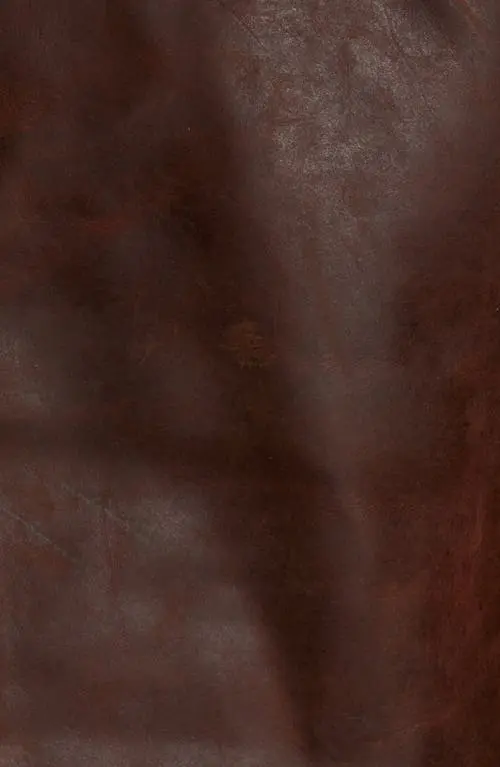 SCHOTT Café Racer Oiled Cowhide Leather Jacket - Brown