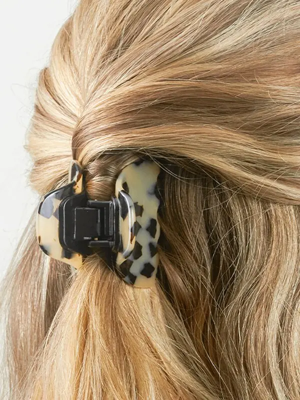 CROWN AFFAIR The Clips - Tortoise