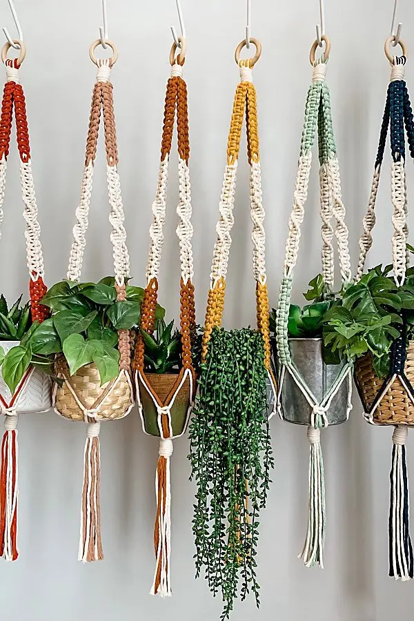 I WOULD RATHER KNOT Macrame Plant Hanger - Mustard Yellow