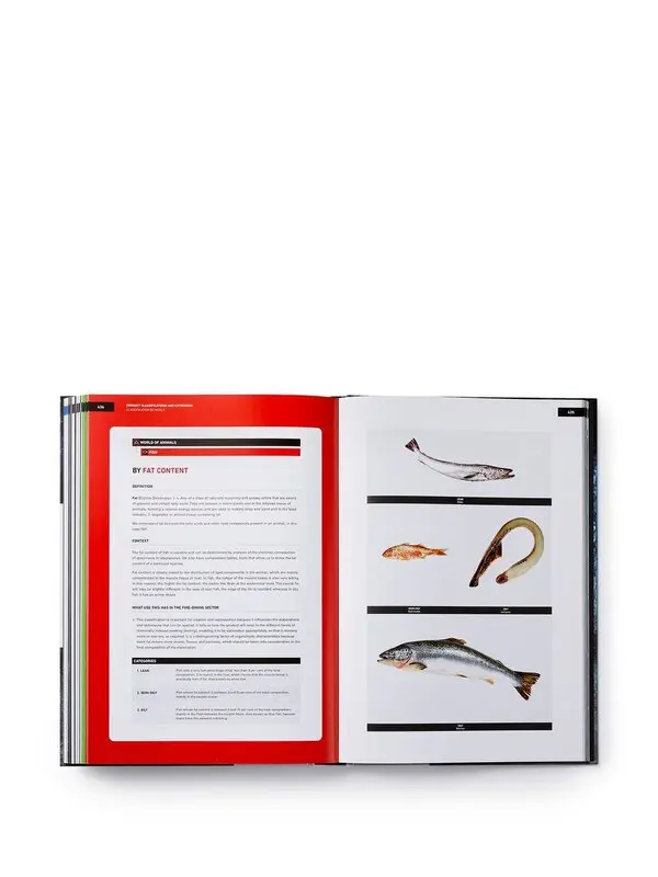 PHAIDON PRESS Unelaborated Products: Definition And Classification