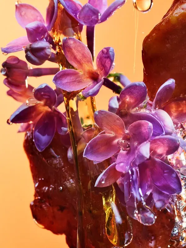 BVLGARI Allegra Rock 'n' Rome Eau De Parfum