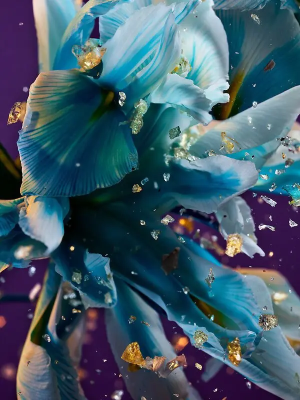 BVLGARI Allegra Spettacolore Eau De Parfum