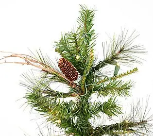 VICKERMAN 5' X 35' Ashland Tree Clear Lights By