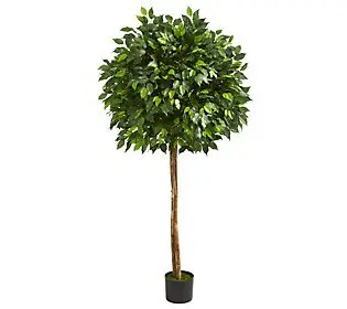 NEARLY NATURAL 5.5' Ficus Artificial Tree By