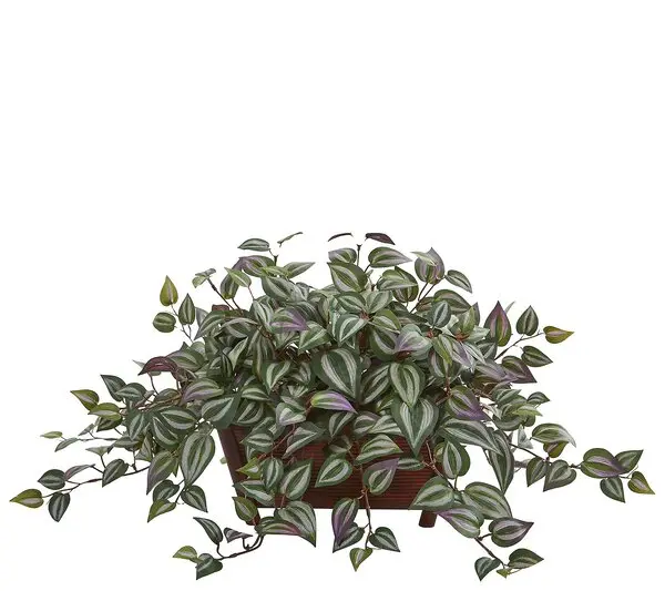 NEARLY NATURAL Wandering Jew Artificial Plant In Planter Ne Arly Natural - One-color