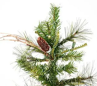 VICKERMAN 6' X 41' Ashland Tree Clear Lights By