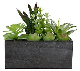 NORTHLIGHT 10' Artificial Mixed Succulent Plants In A Rect Angular Plante - One-color