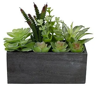 NORTHLIGHT 10' Artificial Mixed Succulent Plants In A Rect Angular Plante