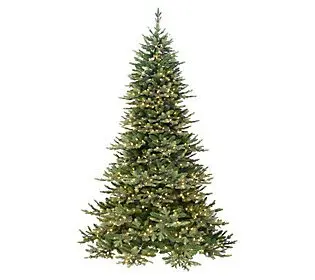PULEO INTERNATIONAL Puleo 6.5' Prelit Royal Majestic Douglas Fir Do Nswept Tree - One-color