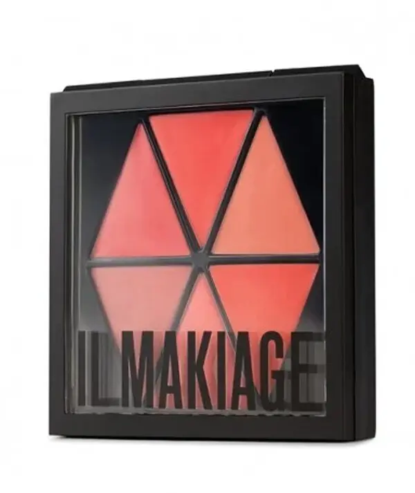 IL MAKIAGE Color Master Lip Palette
