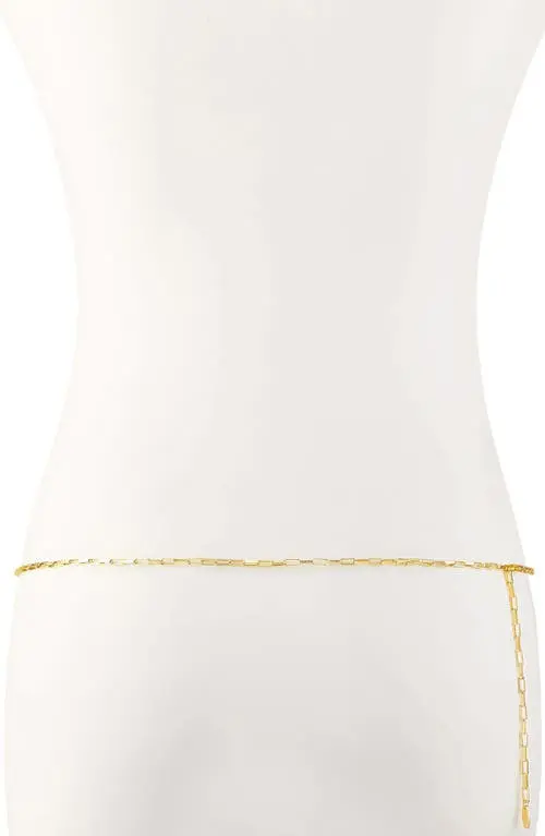 Ettika Chain Belt
