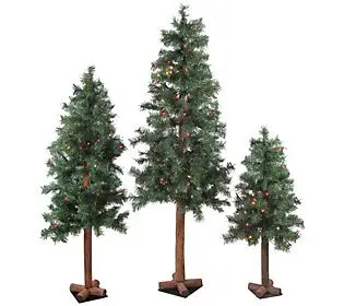 NORTHLIGHT Set Of 3 Pre-lit Woodland Alpine Chr Stmas Trees - One-color