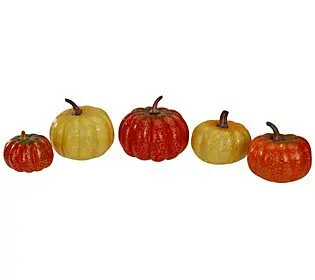 NORTHLIGHT Decorative Colorful Pumpkin S/5 - One-color