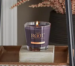 ROOT CANDLES 6.3-oz Veriglass Jar Candle 1 Wick