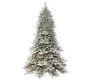 PULEO INTERNATIONAL Puleo 6.5' Prelit Flocked Royal Majestic Dougla Fir - One-color