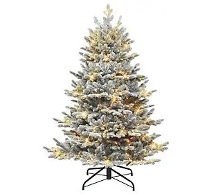 PULEO INTERNATIONAL Puleo 4.5' Pre-lit Flocked Royal Majestic Dougl As Fir - One-color