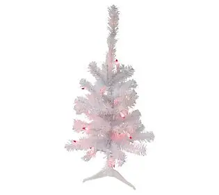 NORTHLIGHT 2' Woodbury White Pine Slim Tree W/p Nk Lights - One-color
