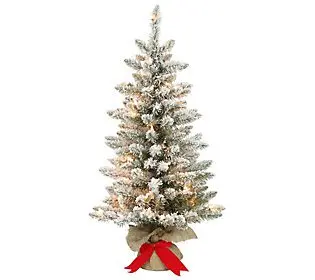 PULEO INTERNATIONAL Puleo Pre-lit 3' Flocked Fraser Fir Artificial Hristmas Tree - One-color