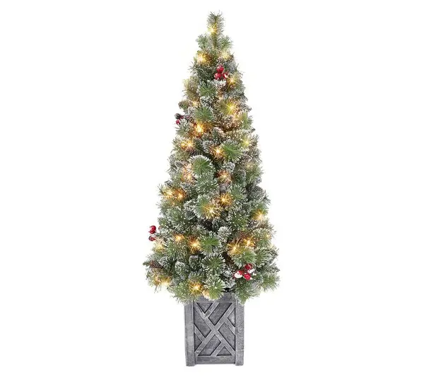 PULEO INTERNATIONAL Puleo 5' Pre-lit Potted Vancouver Pine Tree - One-color