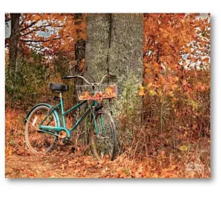 COURTSIDE MARKET Autumn Bike Ride 16' X 20' Can Vas Wall Art - One-color