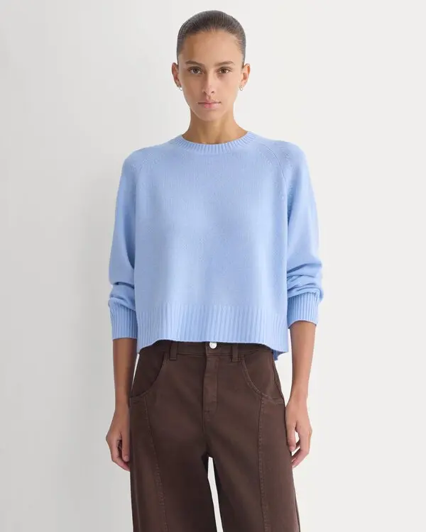 Everlane Boxy Crew Neck Sweater - Blue