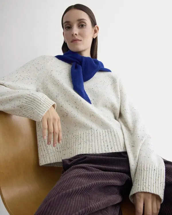 Everlane Boxy Crew Neck Sweater - Leslie Donegal