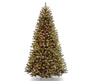 NATIONAL TREE COMPANY 6.5' North Valley Spruce Tree With Clear Lights - One-color