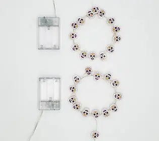 LUMABASE B/o Led Fairy String Lights Sugar Sk Ull