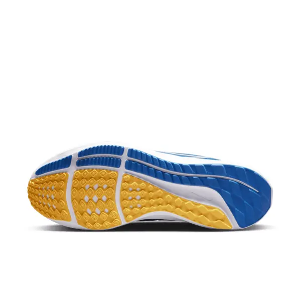 Nike College Pegasus 39 Road Running Shoes