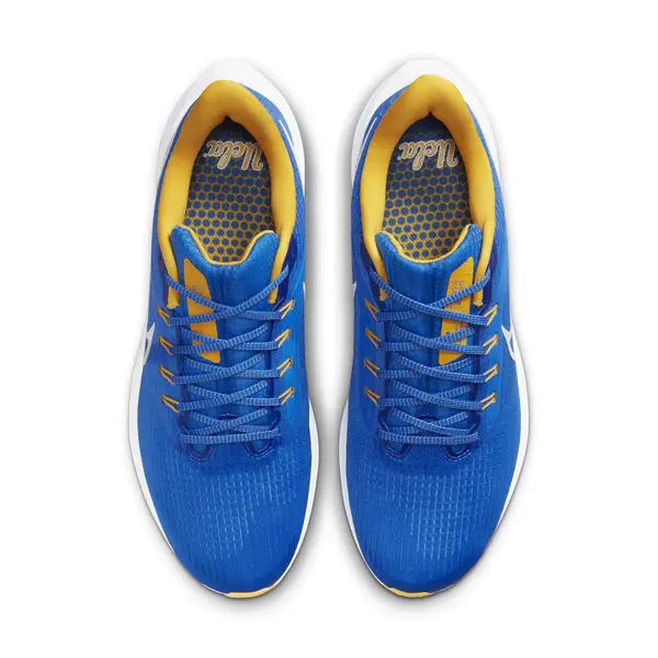 Nike College Pegasus 39 Road Running Shoes