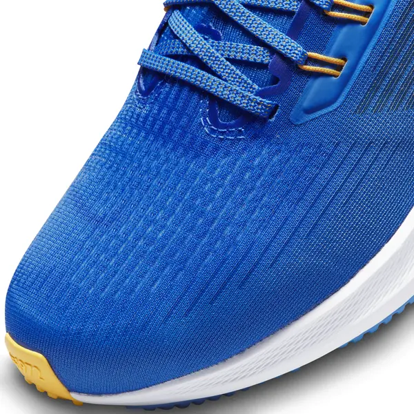 Nike College Pegasus 39 Road Running Shoes