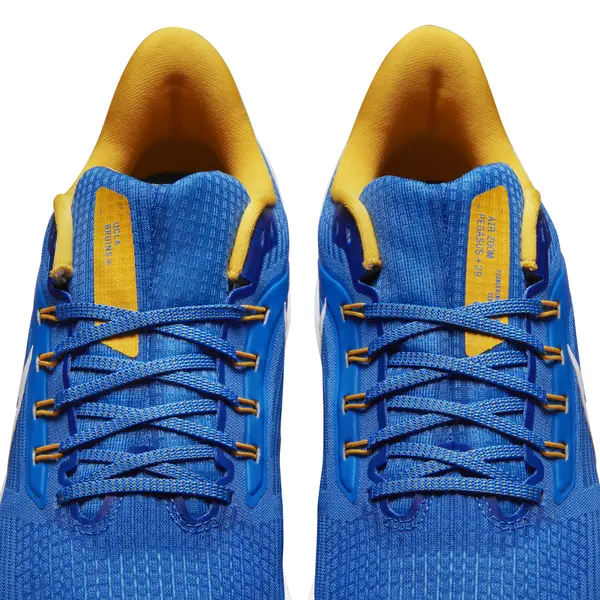 Nike College Pegasus 39 Road Running Shoes