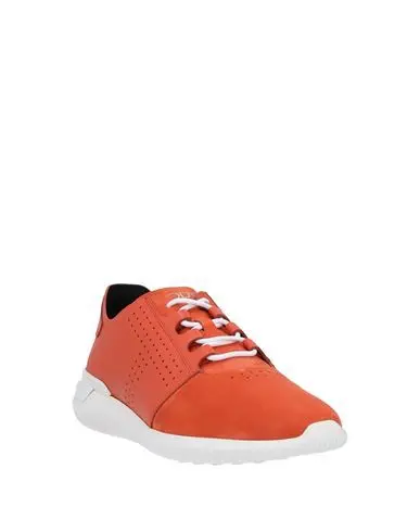 TOD'S Low-top Sneakers - Red