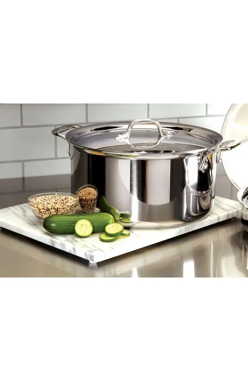 ALL-CLAD 8-quart Stainless Steel Stockpot