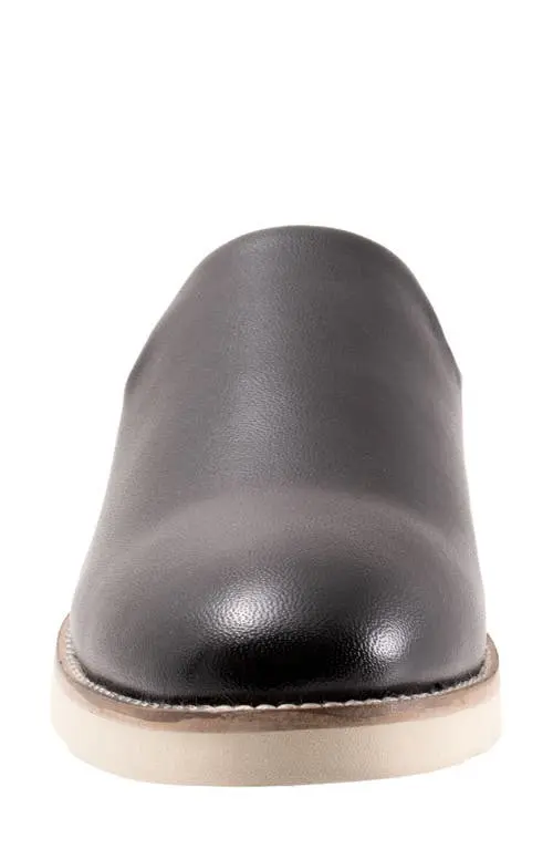 Softwalk Wolcott Ii Mule - Black