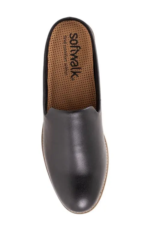 Softwalk Wolcott Ii Mule - Black