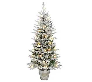 PULEO INTERNATIONAL Puleo 6' Prelit Pe/pvc Flocked Tree - One-color