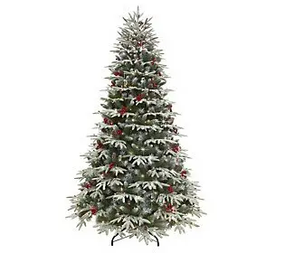 PULEO INTERNATIONAL Puleo 6.5' Prelit Flocked Halifax Fir Tree - One-color