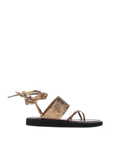 Paris Texas Thong Sandals - Brown