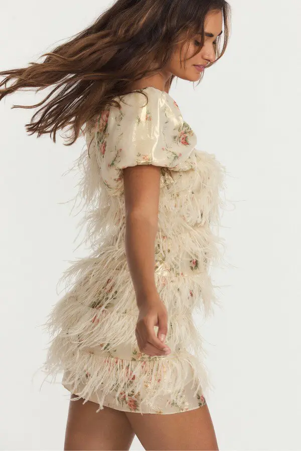 beryl mini dress Beryl Mini Dress