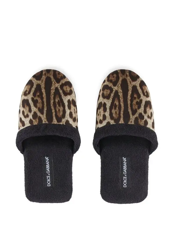 Dolce & Gabbana Leopard-print Terry Slippers - Black