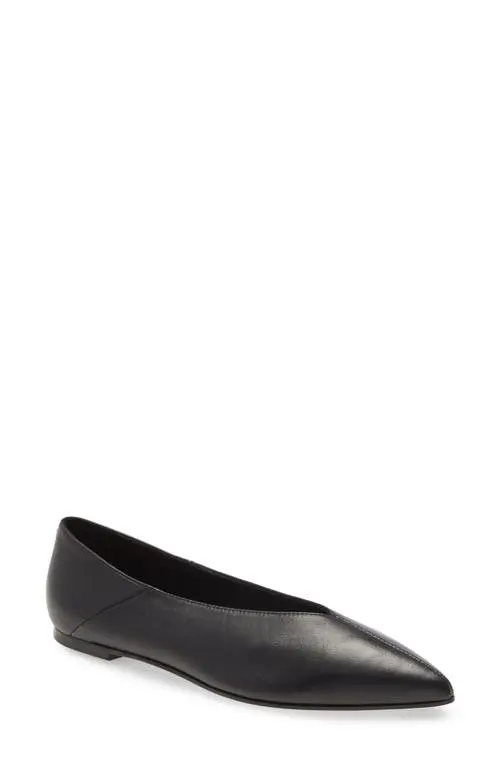 AeydĒ Moa Pointed Toe Flat